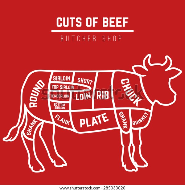 Butchery Beef Cuts Diagram Vector Illustration Stock Vector (Royalty ...