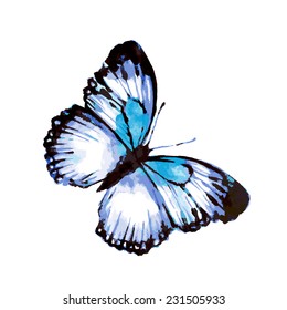 Set Blue Butterflies Isolated On White Stock Photo 1314523280 ...