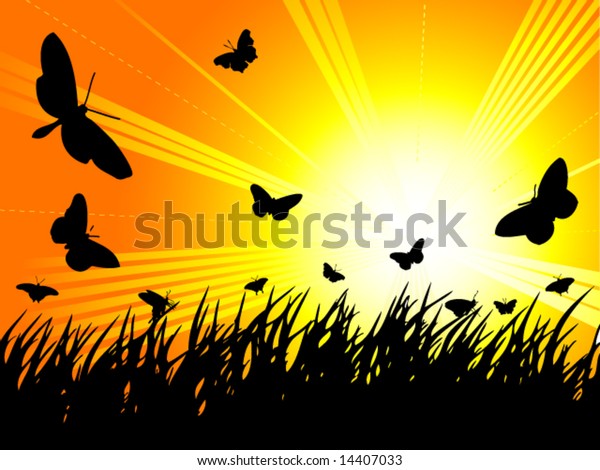 Butterflies Sunset Stock Vector (Royalty Free) 14407033
