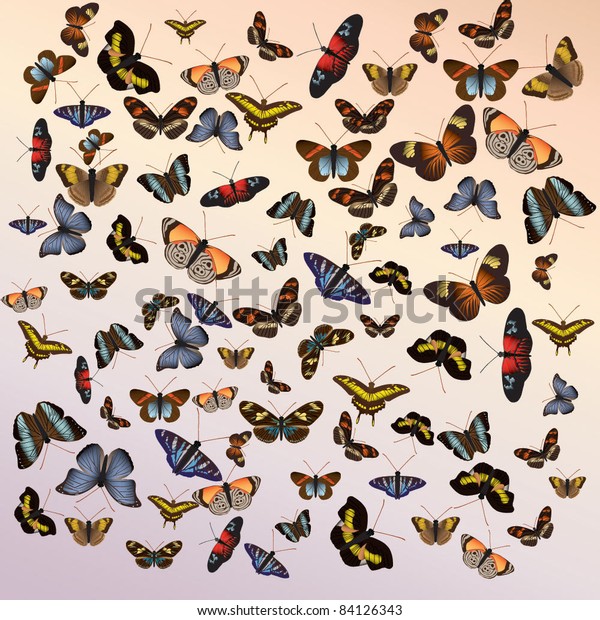 Butterfly Background Butterflies Various Shapes Sizes Stock Vector ...