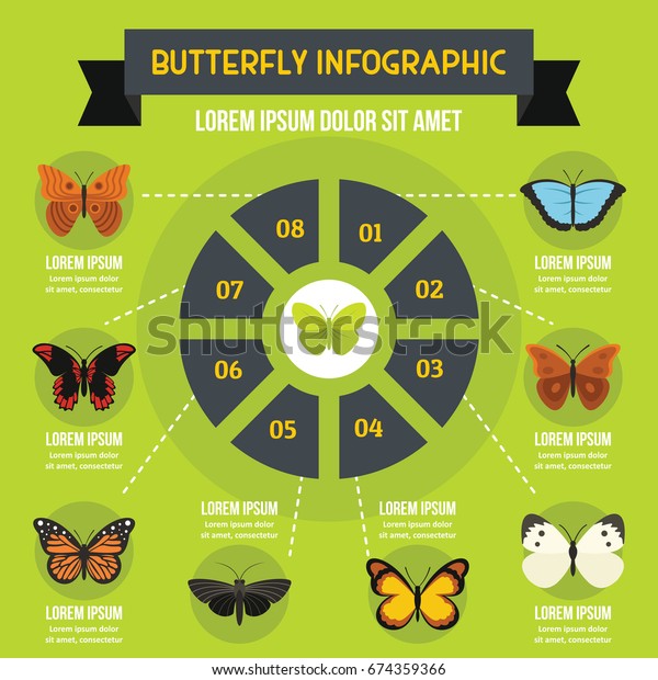 Butterfly Infographic Banner Concept Flat Illustration Stock Vector ...