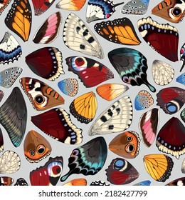 Butterfly Moth Wings Vector Seamless Pattern Stock Vector (Royalty Free ...