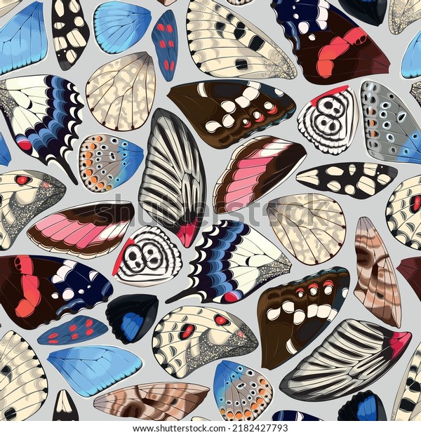 Butterfly Moth Wings Vector Seamless Pattern Stock Vector (Royalty Free ...