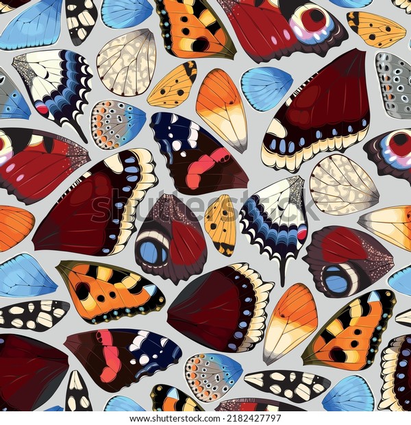 Butterfly Moth Wings Vector Seamless Pattern Stock Vector (Royalty Free ...