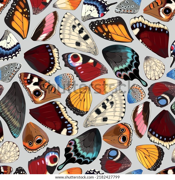 Butterfly Moth Wings Vector Seamless Pattern Stock Vector (Royalty Free ...
