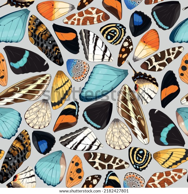 Butterfly Moth Wings Vector Seamless Pattern Stock Vector (Royalty Free ...