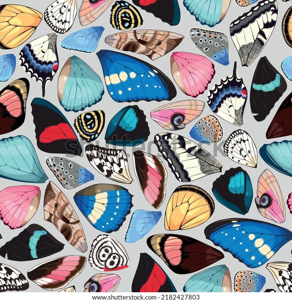 Butterfly Moth Wings Vector Seamless Pattern Stock Vector (Royalty Free ...