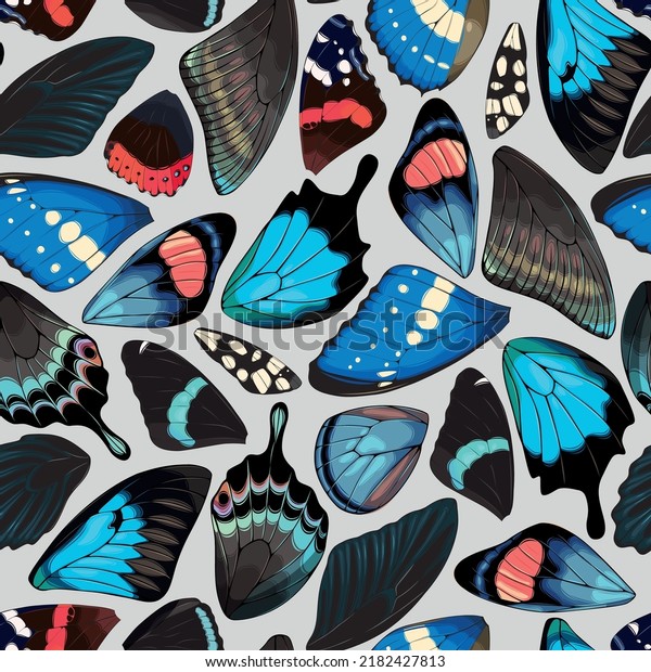 Butterfly Moth Wings Vector Seamless Pattern Stock Vector (Royalty Free ...