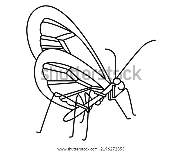 Butterfly Outline Drawing Vector Graphics Stock Vector (Royalty Free ...