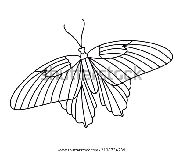 Butterfly Outline Drawing Vector Graphics Stock Vector (Royalty Free ...