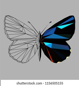 Butterfly Polygonal Low Poly Wireframe Isolated Stock Vector (Royalty ...