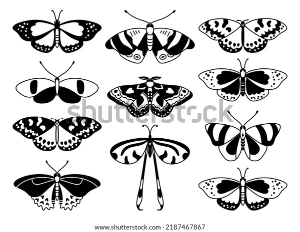 Butterfly Set Vector Illustration Black White Stock Vector (Royalty ...