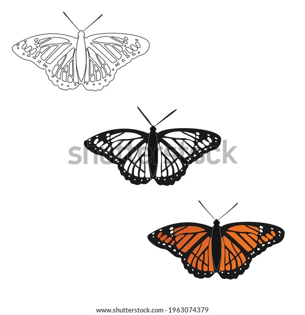 Butterfly Vector Line Art Illustration Stock Vector (Royalty Free ...