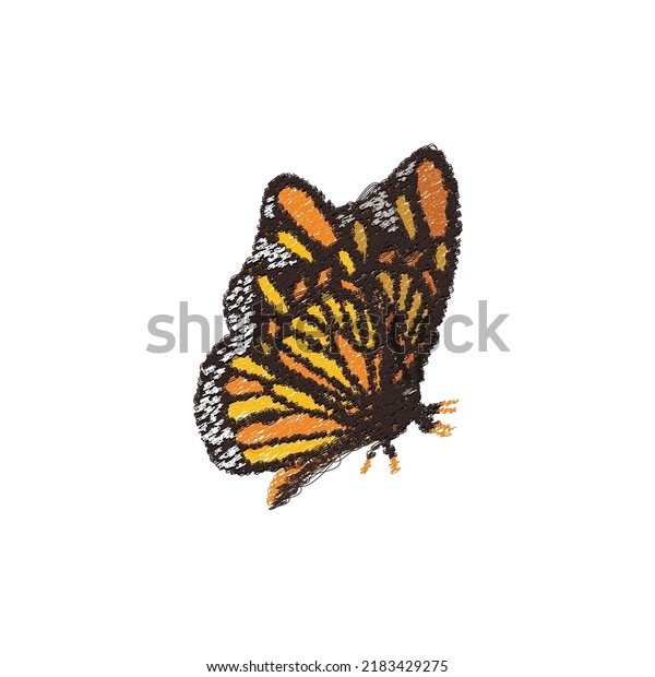Butterfly Vector Sketch Illustration Scribble Art Stock Vector (Royalty ...