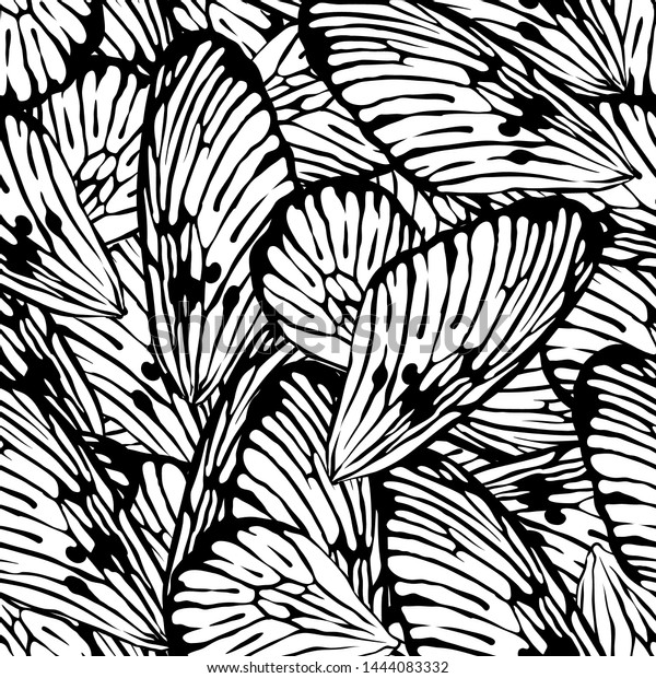 Butterfly Wings Seamless Pattern Black White Stock Vector (Royalty Free ...