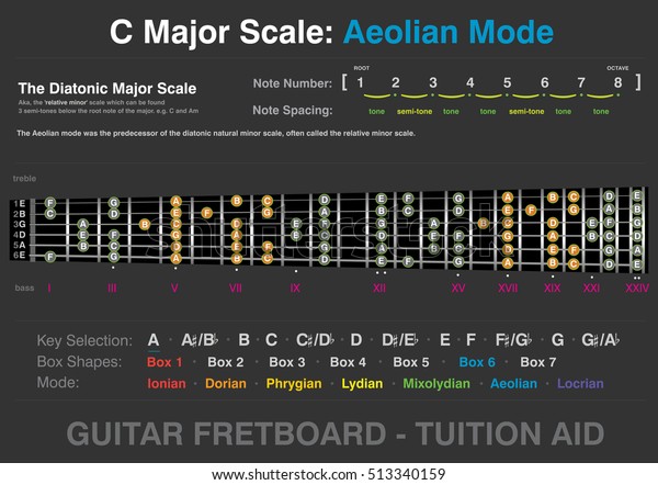 C Major Aeolian Mode Guitar Fretboard Stock Vector (Royalty Free) 513340159