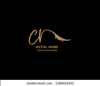 C R Initial Handwriting Logo Template Stock Vector (Royalty Free ...