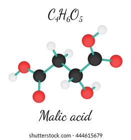 C4h6o5 Malic Acid Molecule Stock Vector (Royalty Free) 444615679