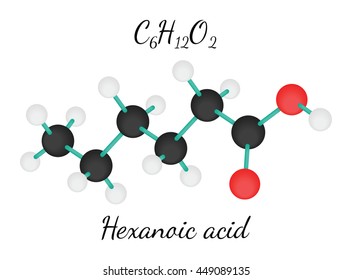 C4h9no2 Gammaaminobutyric Acid Molecule: vetor stock (livre de direitos ...