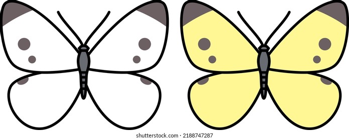 568 Cabbage white butterfly Stock Illustrations, Images & Vectors ...