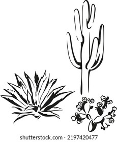 Cacti Vector Illustration Line Art Stock Vector (Royalty Free ...