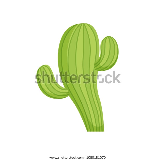 Cactus Traditional Symbol Mexico Vector Illustration Stock Vector ...
