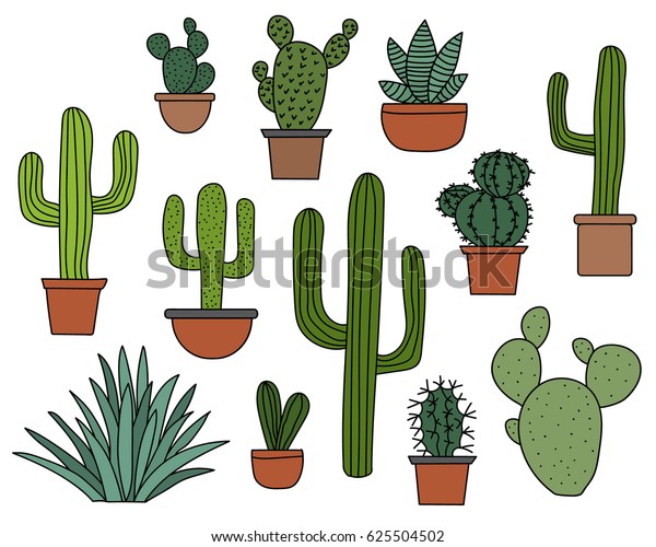 Cactus Vector Set Hand Drawn Collection Stock Vector (Royalty Free ...