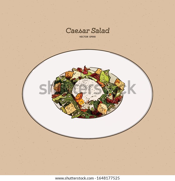 Caesar Salad Hand Draw Sketch Vector Stock Vector (Royalty Free ...