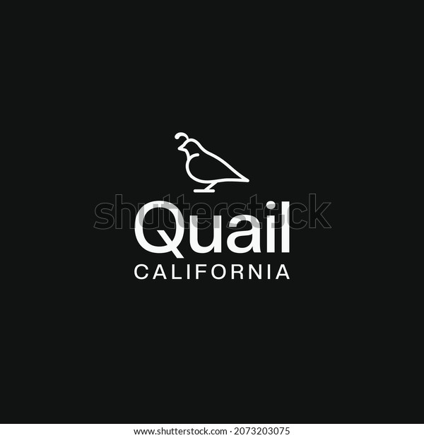 California Quail Logo Vector Design Logo Stock Vector (Royalty Free ...