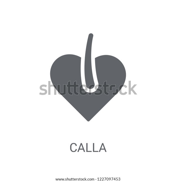 Calla Icon Trendy Calla Logo Concept Stock Vector (Royalty Free ...