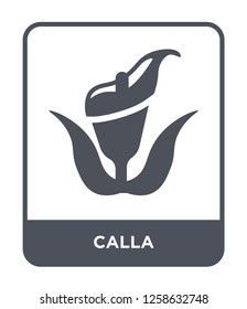 Calla Icon Vector On White Background Stock Vector (Royalty Free ...