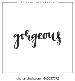 Calligraphy Isolated On White Background Inscription Stock Vector ...