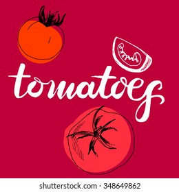 Calligraphy Word Tomatoes Sketched Tomatoes Stock Vector (Royalty Free ...