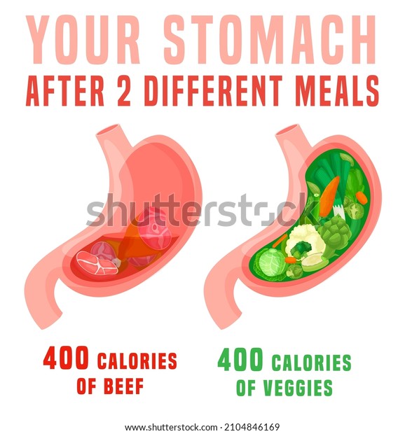 8,954 Stomach Meat Images, Stock Photos & Vectors | Shutterstock