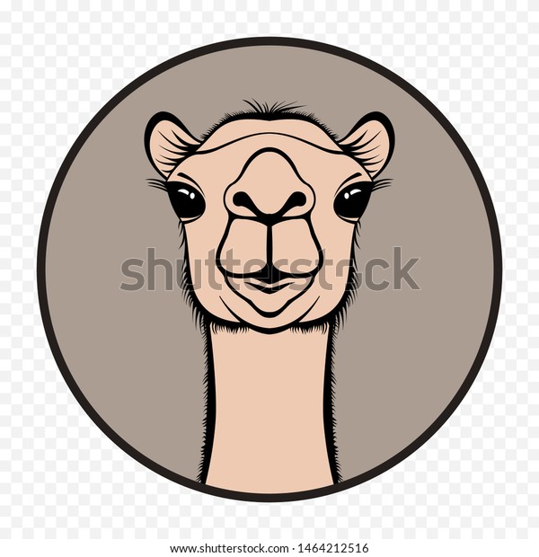 Camel Face Front Profile Illustration Circle Stock Vector (Royalty Free ...