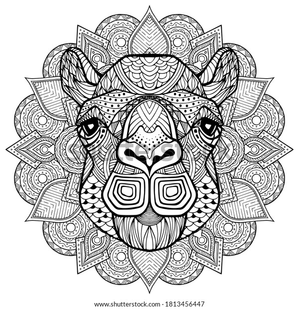 Camel head in detailed style. Zentangle camel. Vector pattern for ...