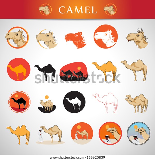 Camel Icons Set Isolated On Gray Stock Vector (Royalty Free) 166620839 ...