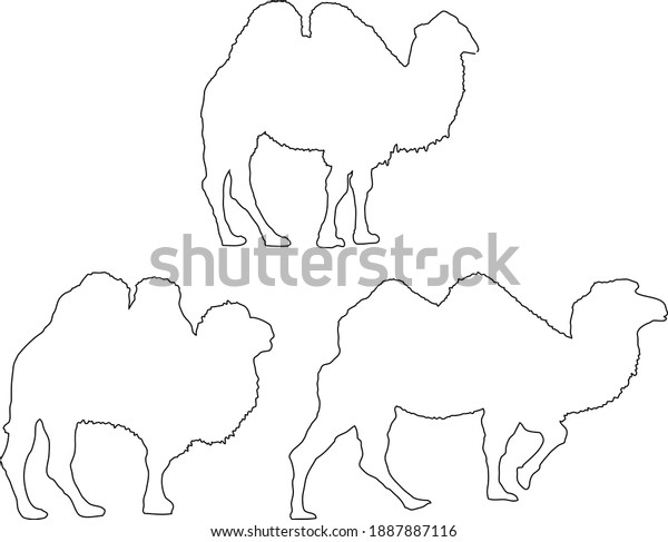 Camel Line Art Design Hand Drawing Stock Vector (Royalty Free ...