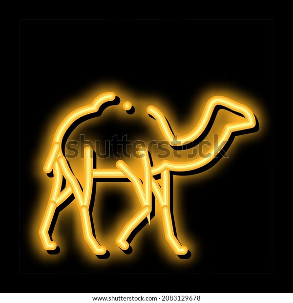 Camel Neon Light Sign Vector Glowing Stock Vector (Royalty Free ...