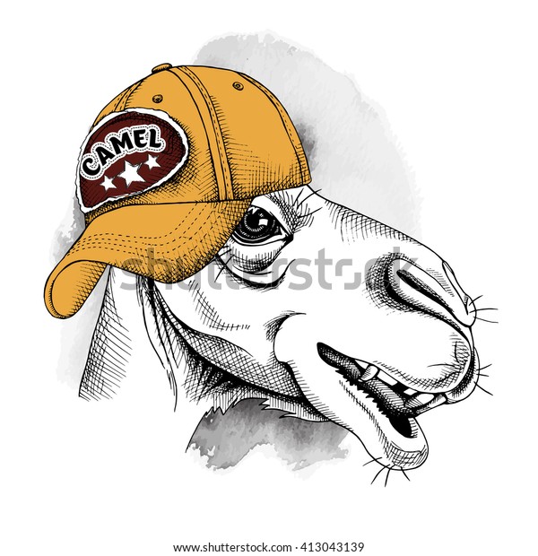 Camel Portrait Yellow Cap Vector Illustration Stock Vector (Royalty ...