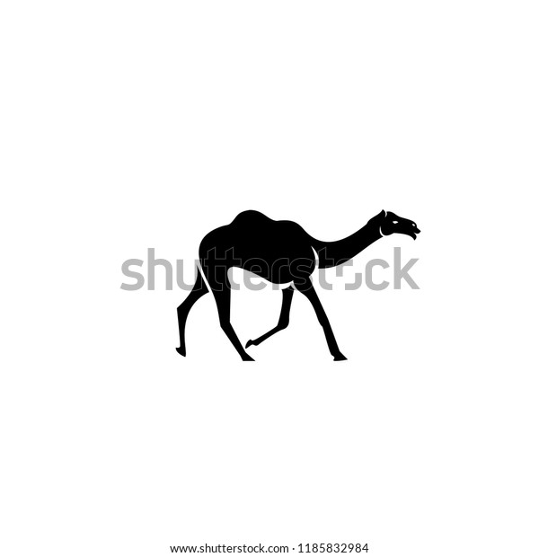 Camel Run Race Logo Icon Designs Stock Vector (Royalty Free) 1185832984