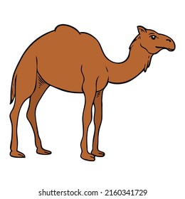 1,427 Camel top view Images, Stock Photos & Vectors | Shutterstock