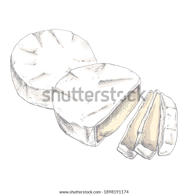 Camembert Cheese Isolated On White Background Stock Vector (Royalty ...