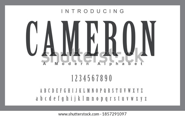 Cameron Font Elegant Alphabet Letters Font Stock Vector (Royalty Free ...