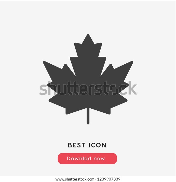 Canada Leaf Icon Vector Stock Vector (Royalty Free) 1239907339 ...