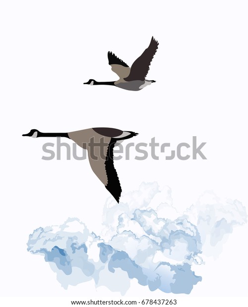 Canadian Geese Migrating Stock Vector (Royalty Free) 678437263