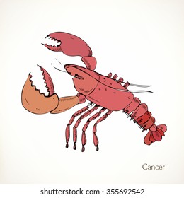 30,361 Cancer animal Images, Stock Photos & Vectors | Shutterstock