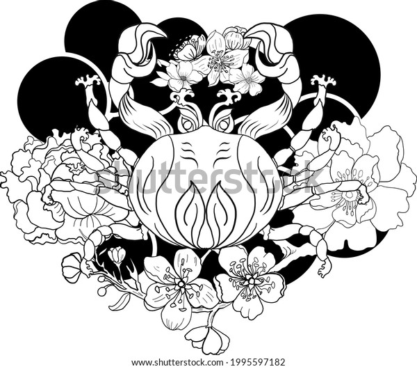 Cancer Vector Astrology Designhoroscope Circle Signs Stock Vector