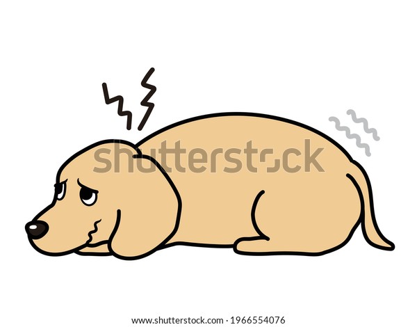 Canine Cervical Disc Herniated Dachshund Stock Vector (Royalty Free ...