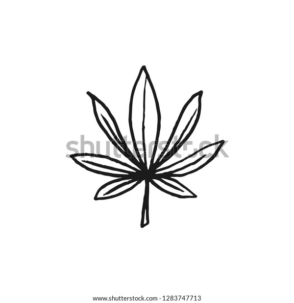 Cannabis Leaf Vector Doodle Sketch Isolated Stock Vector (Royalty Free ...